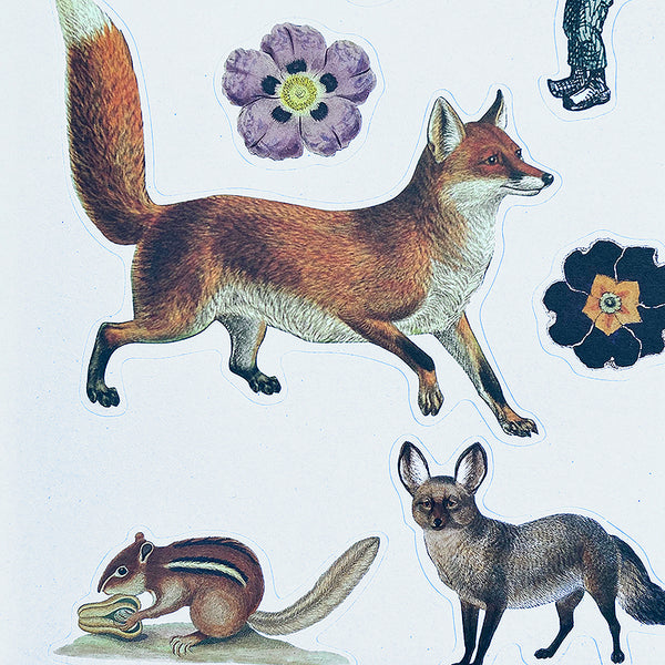 The Antiquarian Sticker Book – FRENCH GENERAL