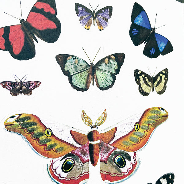 The Antiquarian Sticker Book – FRENCH GENERAL